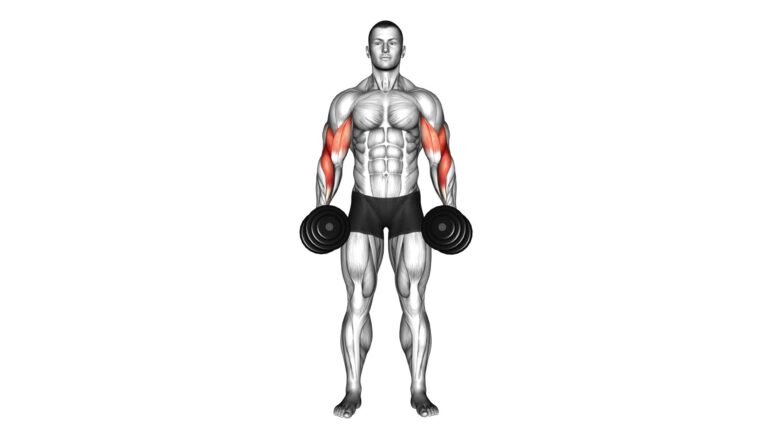 Dumbbell Cross Body Hammer Curl (Version 2) - Video Exercise Guide ...