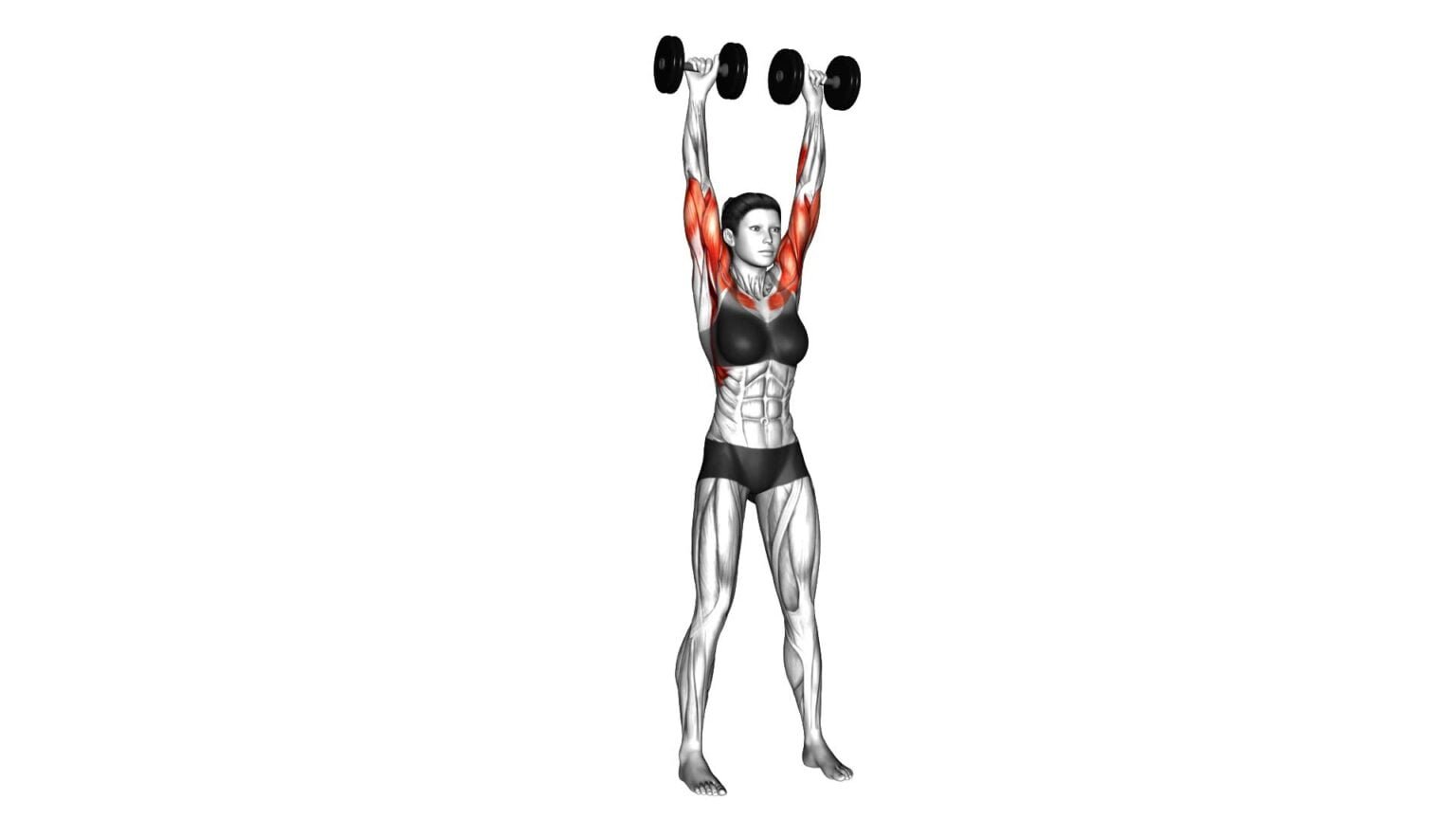 Dumbbell Curl To Press: Ultimate Exercise Guide & Tips