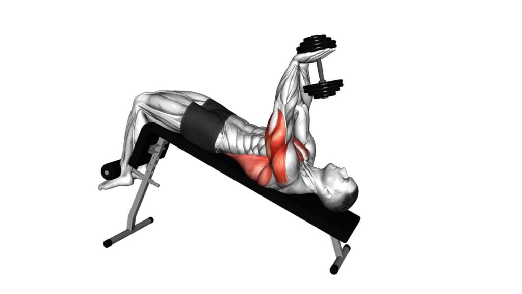 Dumbbell Decline Lying Leg Curl Ultimate Guide And Tips