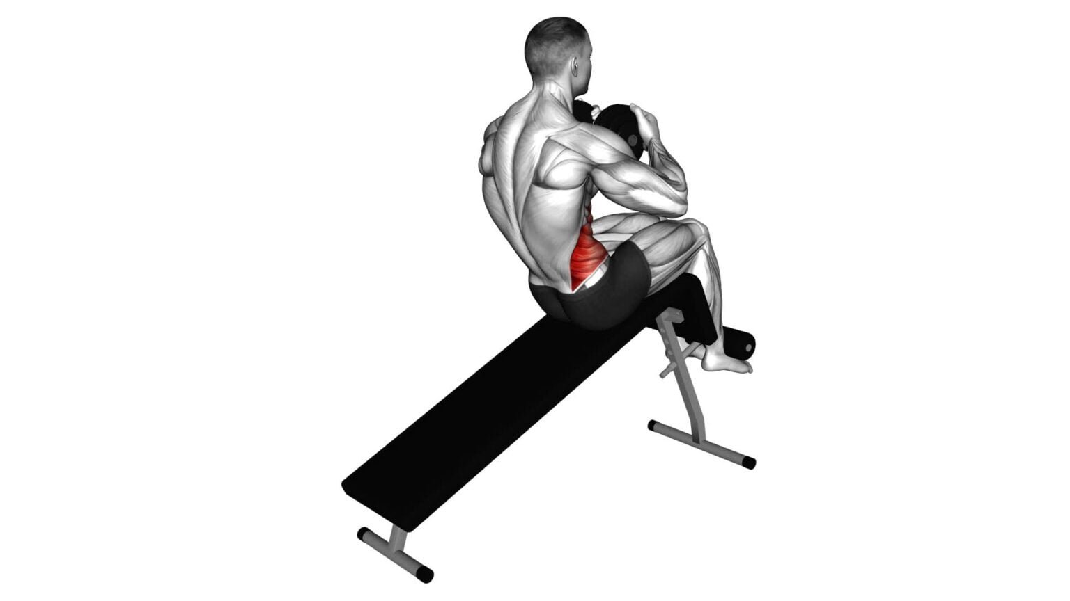 Master The Weighted Decline Sit-up: Expert Tips & Video Guide