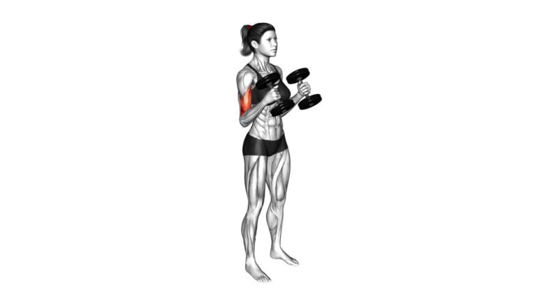 Dumbbell Hammer Curl (female) Version 2 - Video Exercise Guide & Tips ...