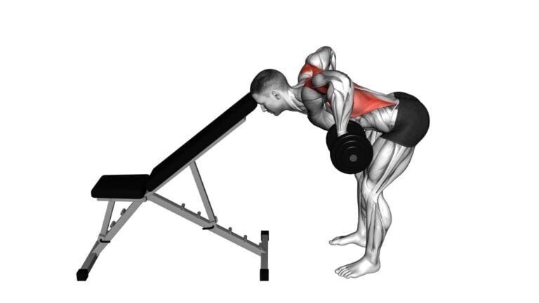 Dumbbell Head Supported Row - Exercise Guide & Tips