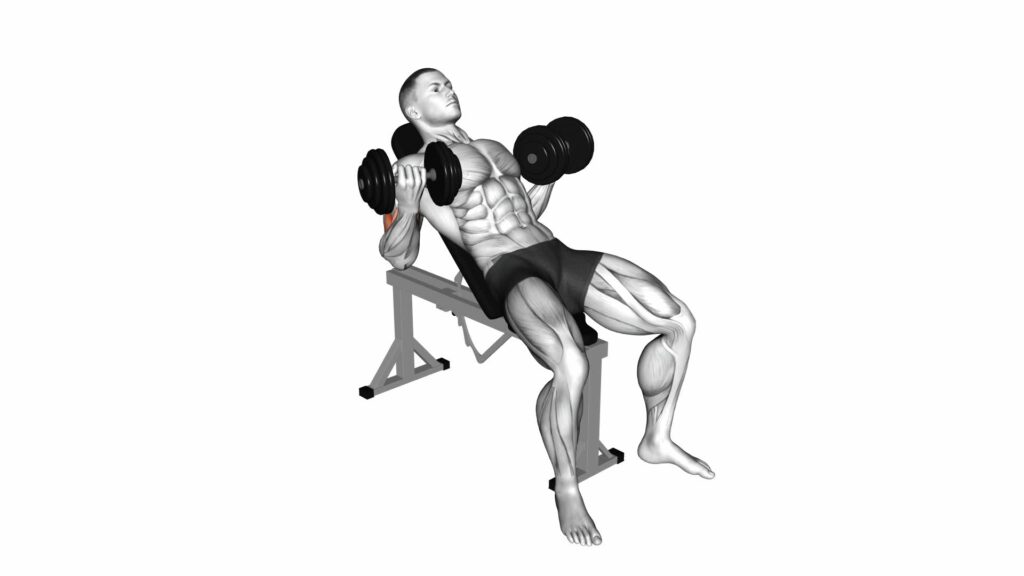 Cable Incline Biceps Curl: Video Guide & Tips