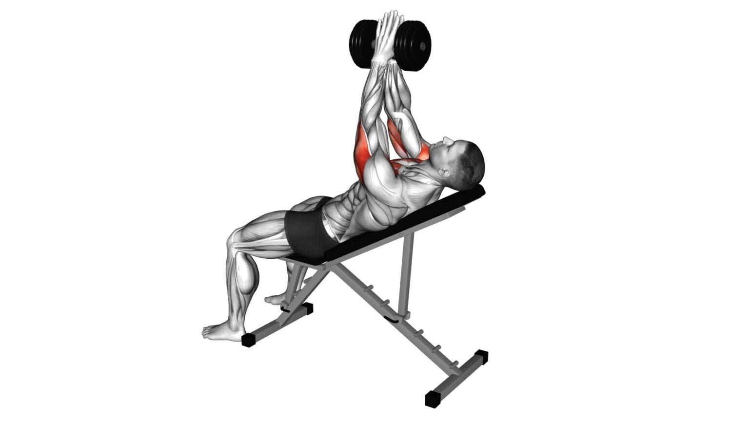 Dumbbell Close-grip Press: Ultimate Exercise Guide & Tips