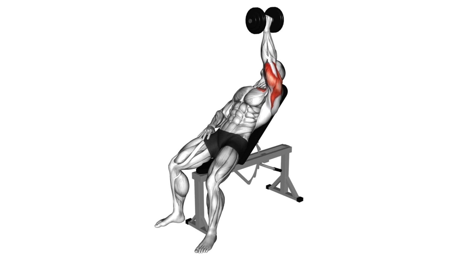 Dumbbell Incline One Arm Hammer Press: Video Guide & Tips