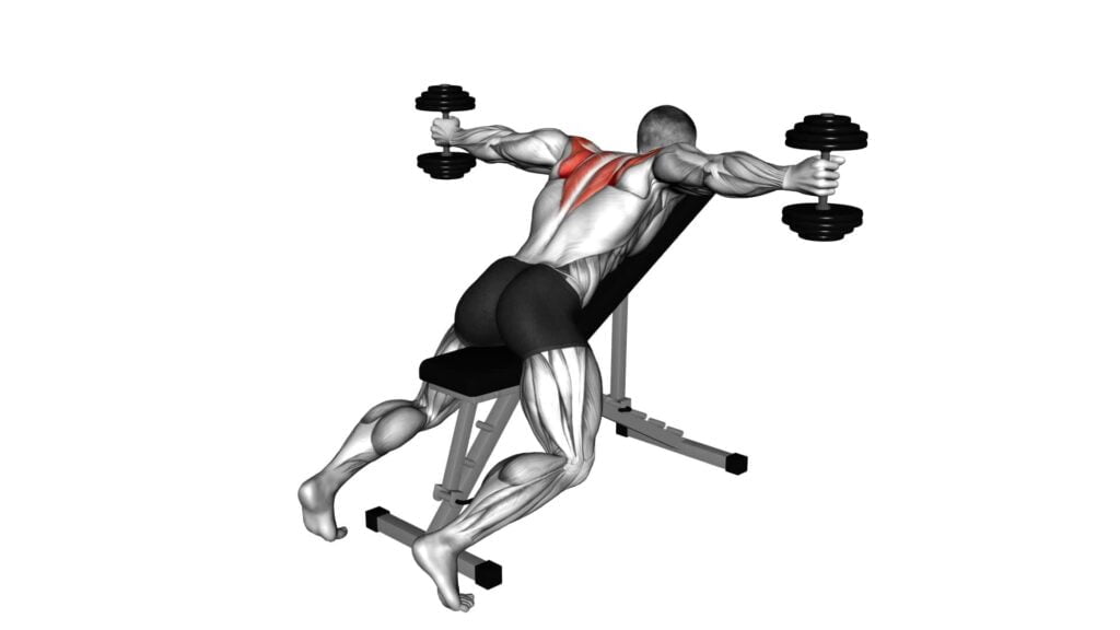 Dumbbell Incline T Raise: Video Guide & Tips