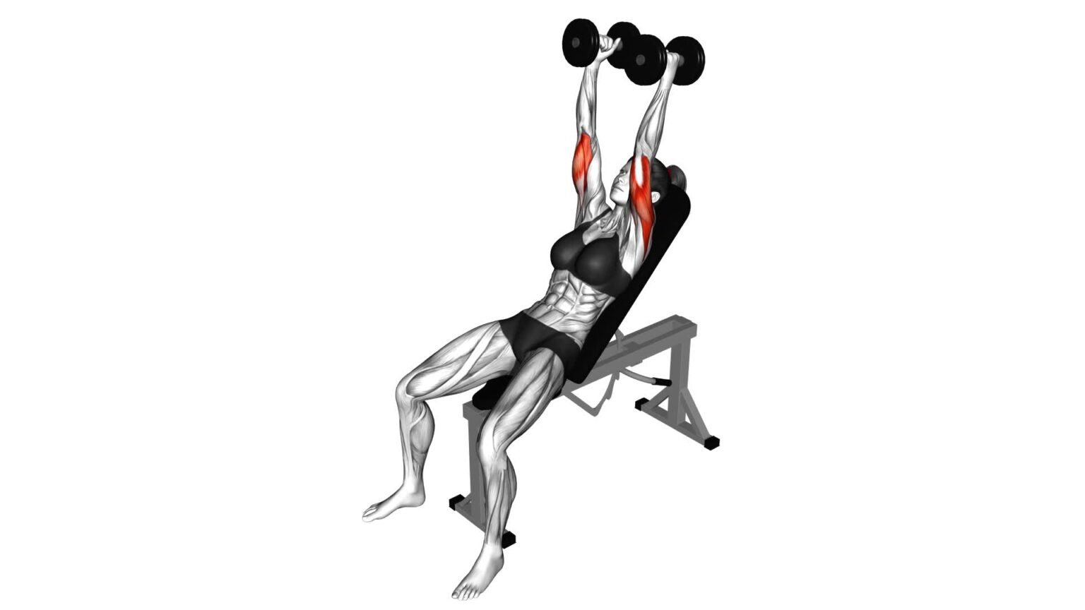 Dumbbell Incline Triceps Extension (female) - Video Exercise Guide ...