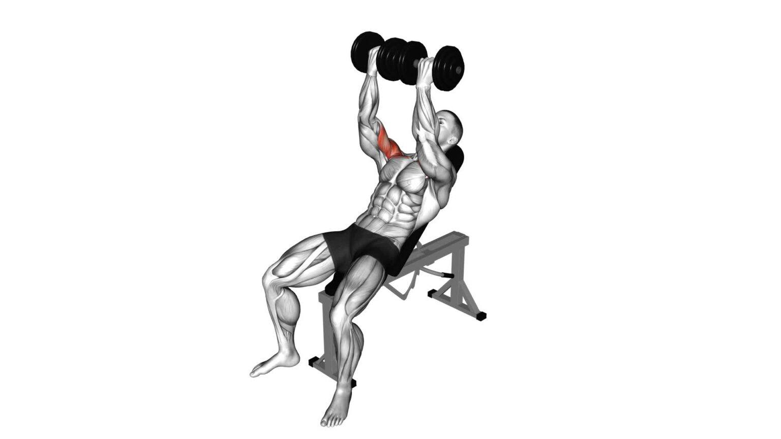 Dumbbell Incline Twisted Fly: Ultimate Exercise Guide & Tips