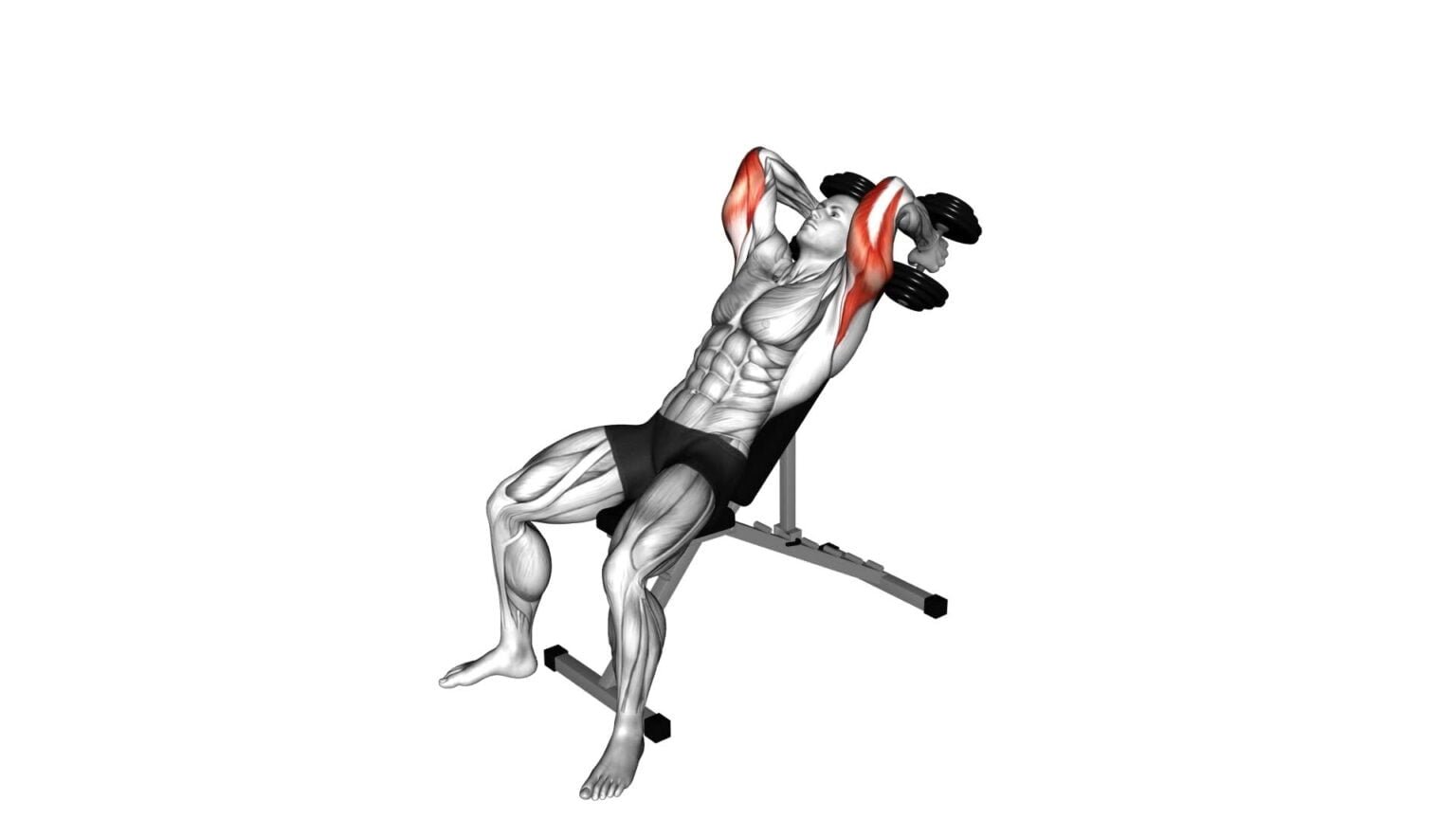 Dumbbell Lying Alternate Extension - Exercise Guide & Tips