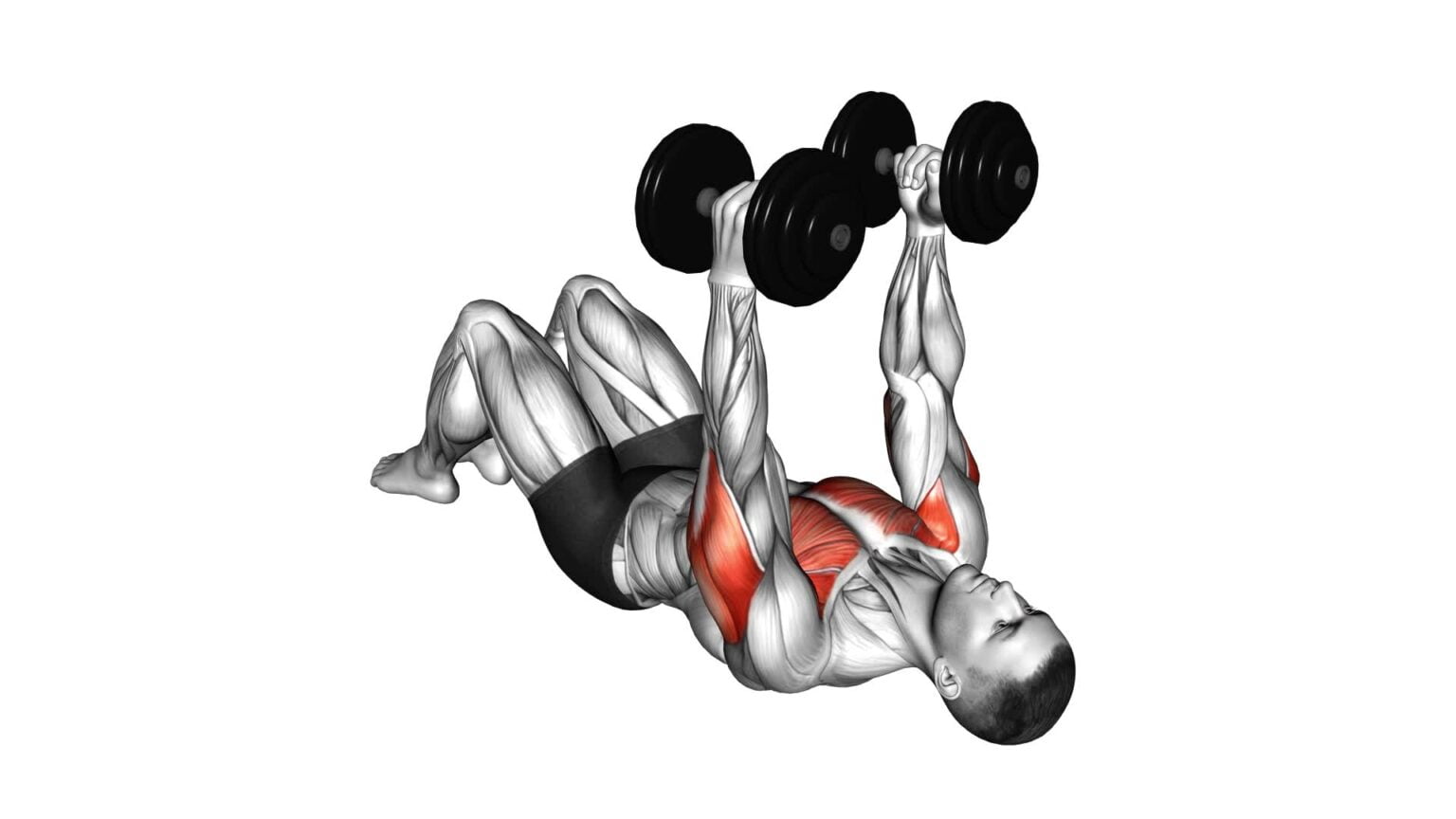 Dumbbell Tate Press: Ultimate Exercise Guide & Tips