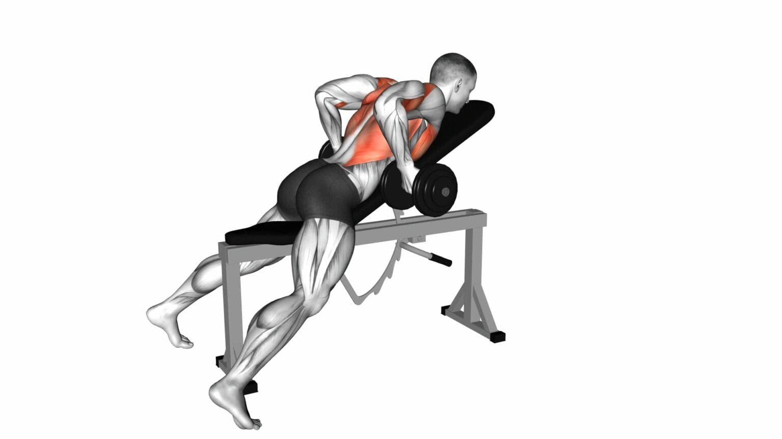 Dumbbell Rear Delt Row: Ultimate Exercise Guide & Tips