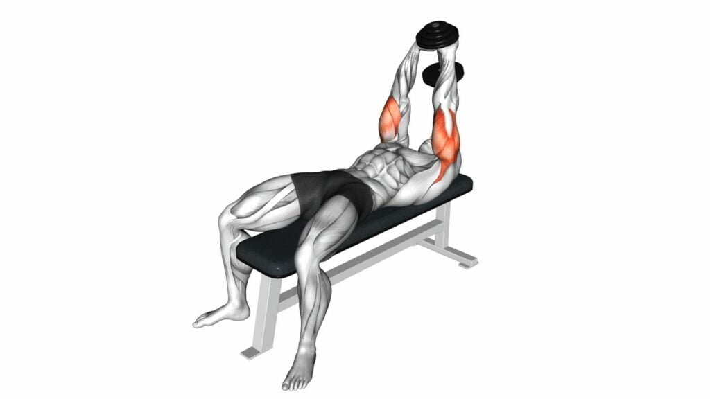 Upper Arms Exercises - Workout Guru