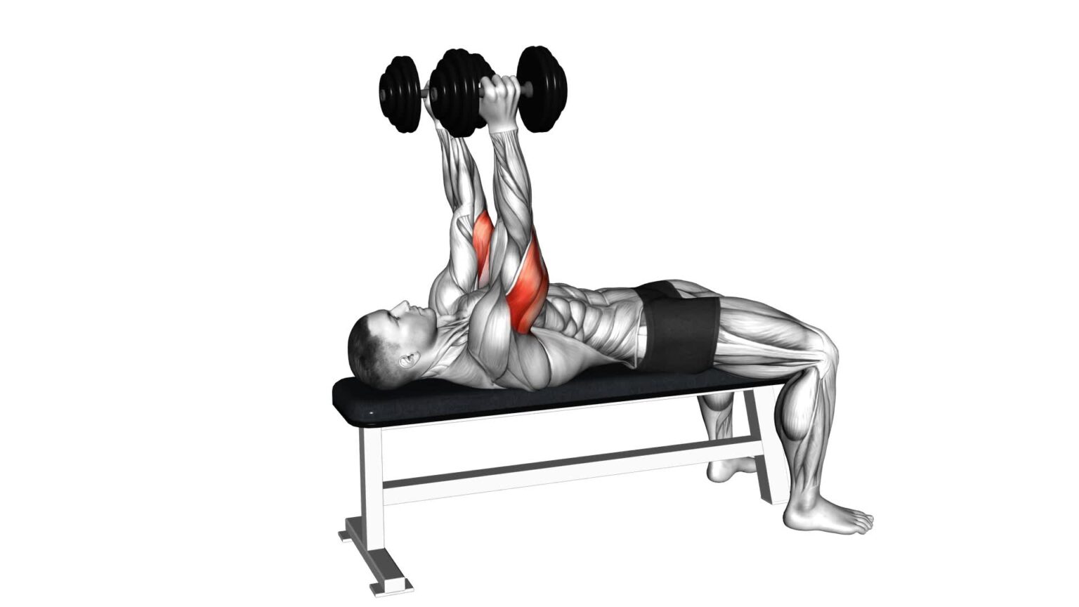 Dumbbell Lying Triceps Extension: Video Guide & Tips