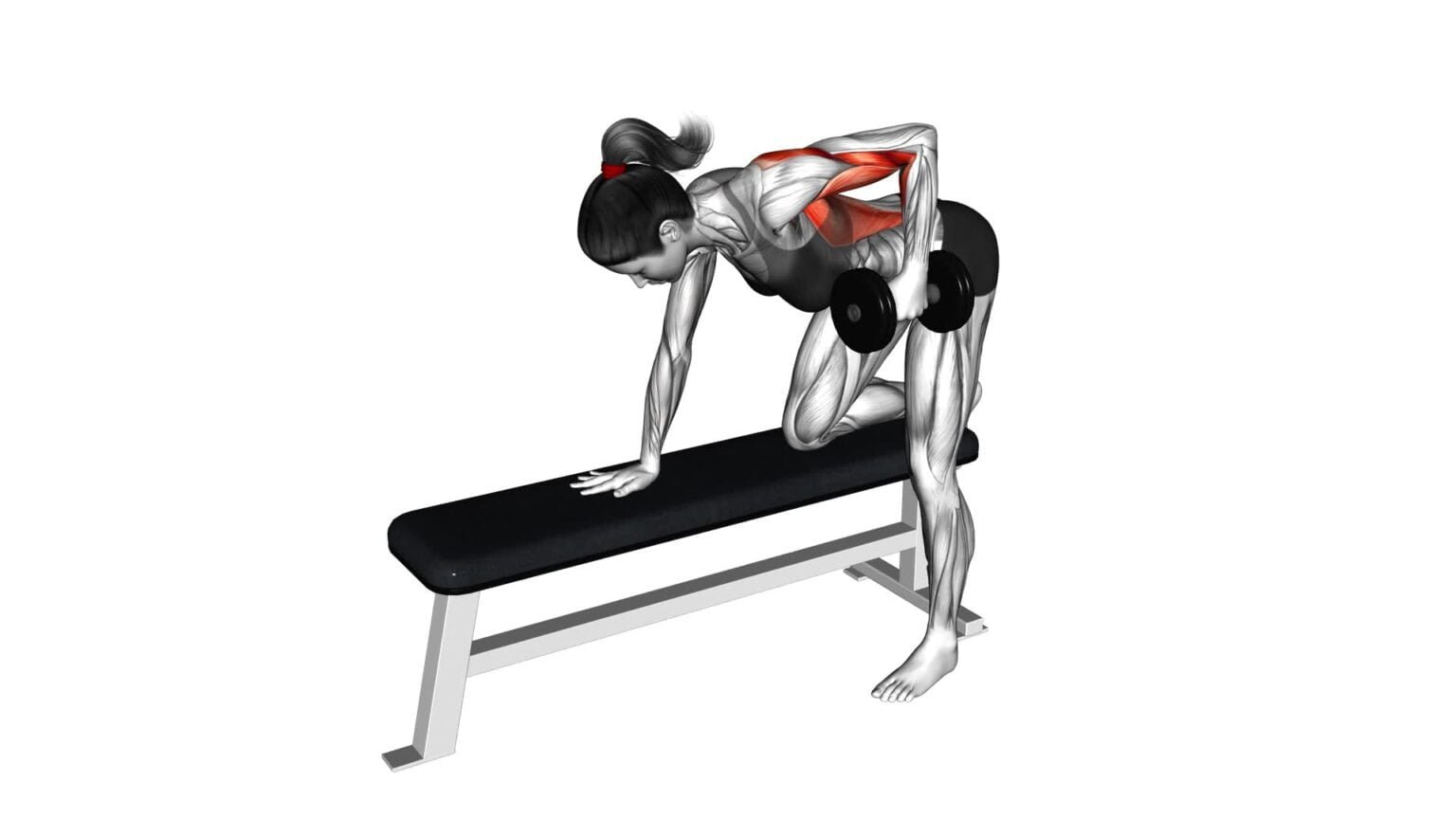Female Dumbbell Bent Over Row: Video Guide & Tips