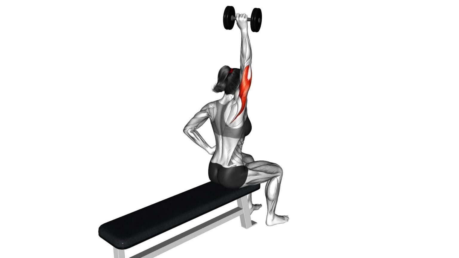 Female Dumbbell Triceps Extension: Bench Workout - Video Guide & Tips