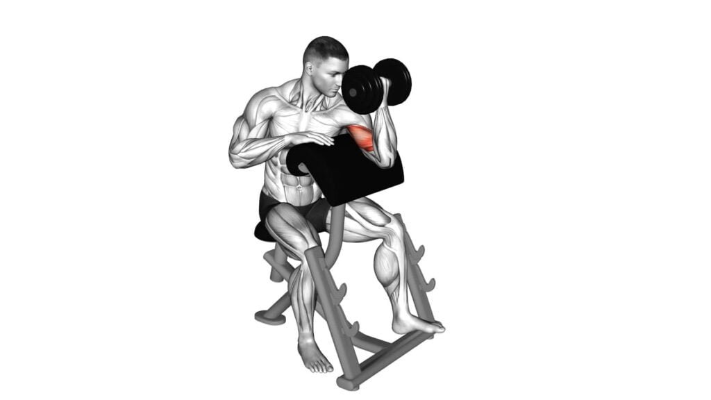 Dumbbell Spider Curl: Video Guide & Tips Dumbbell Spider Curl: Video Guide & Tips