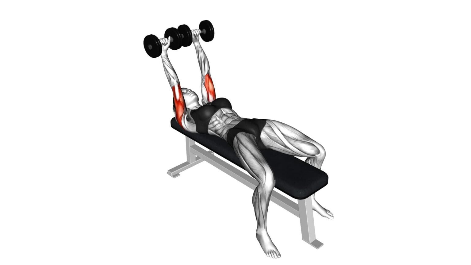 Dumbbell Triceps Extension: Pronate-grip (Female) - Video Guide & Tips