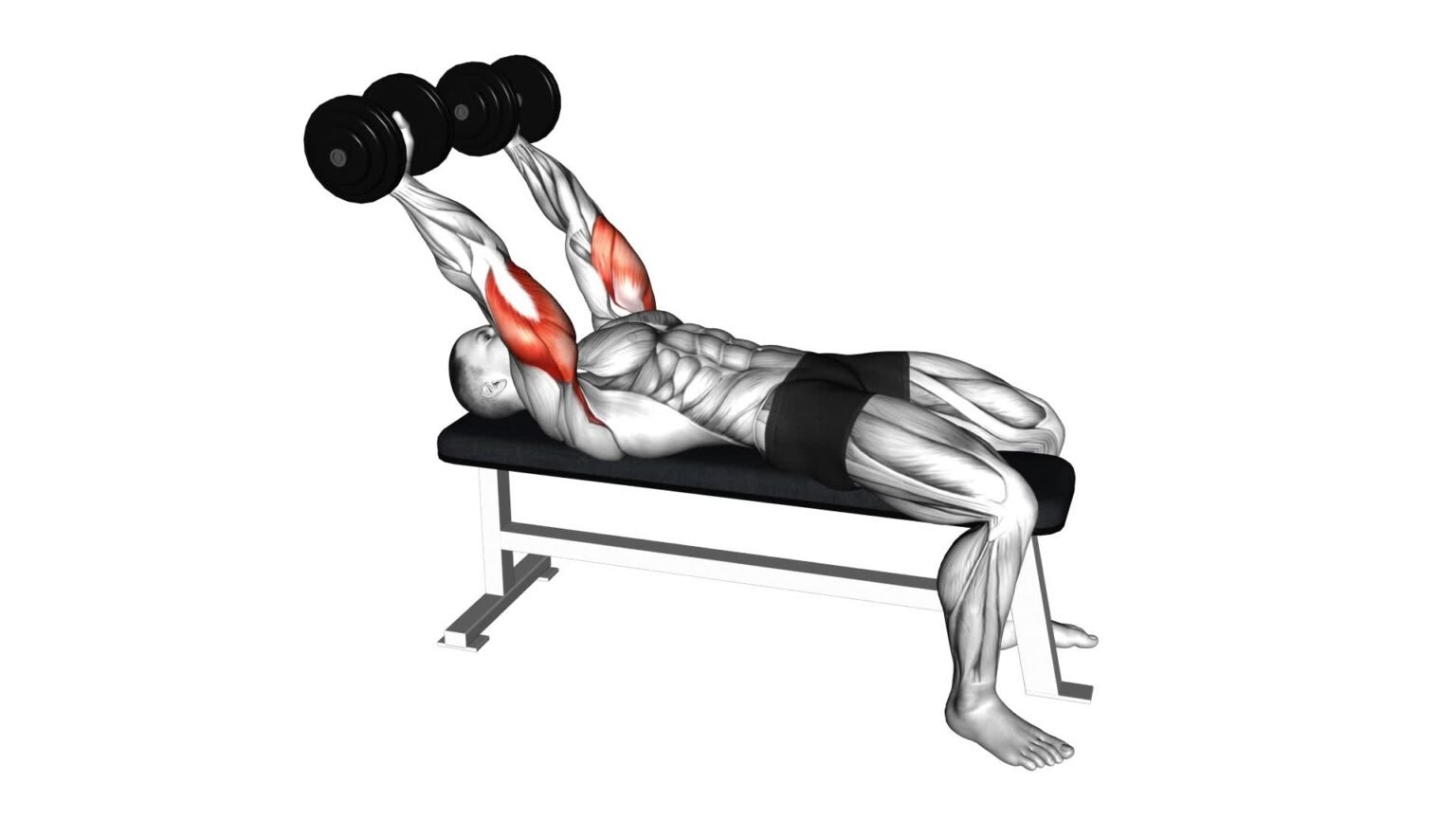 Dumbbell Triceps Extension: Pronate-grip Guide & Tips