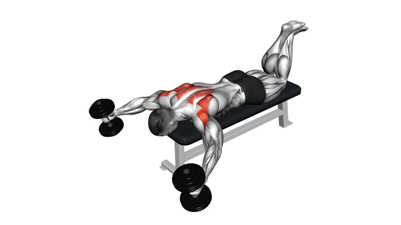 Dumbbell Prone Full Can Exercise (Male): Video Guide & Tips