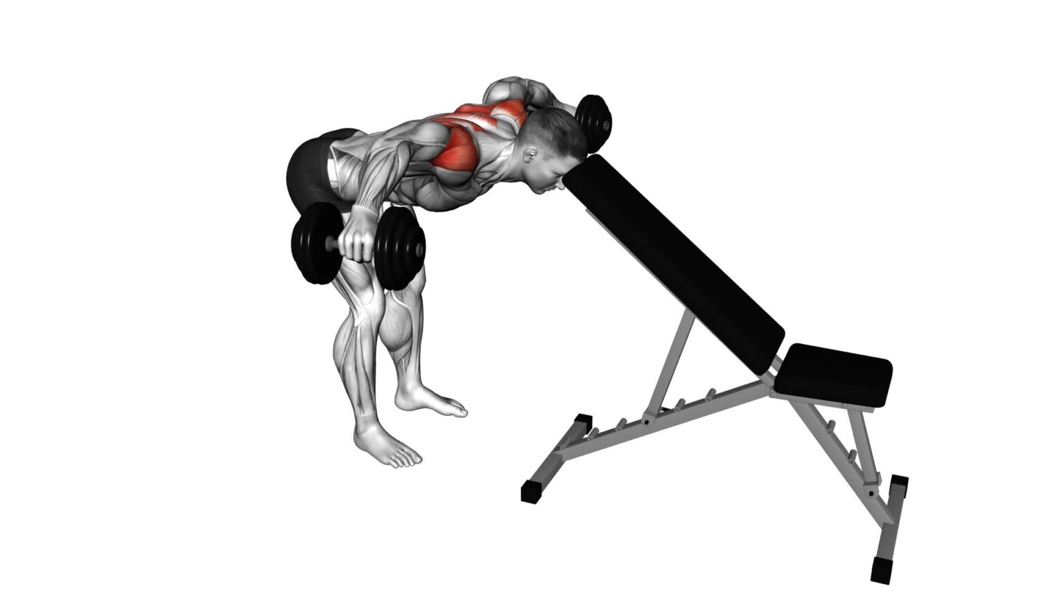 Dumbbell Rear Lateral Raise: Expert Video Guide & Tips