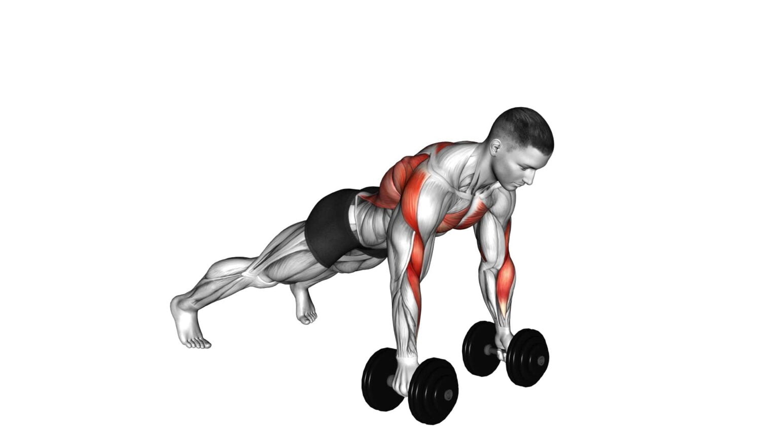 Dumbbell Deep Push-up & Renegade Row: Ultimate Exercise Guide & Tips