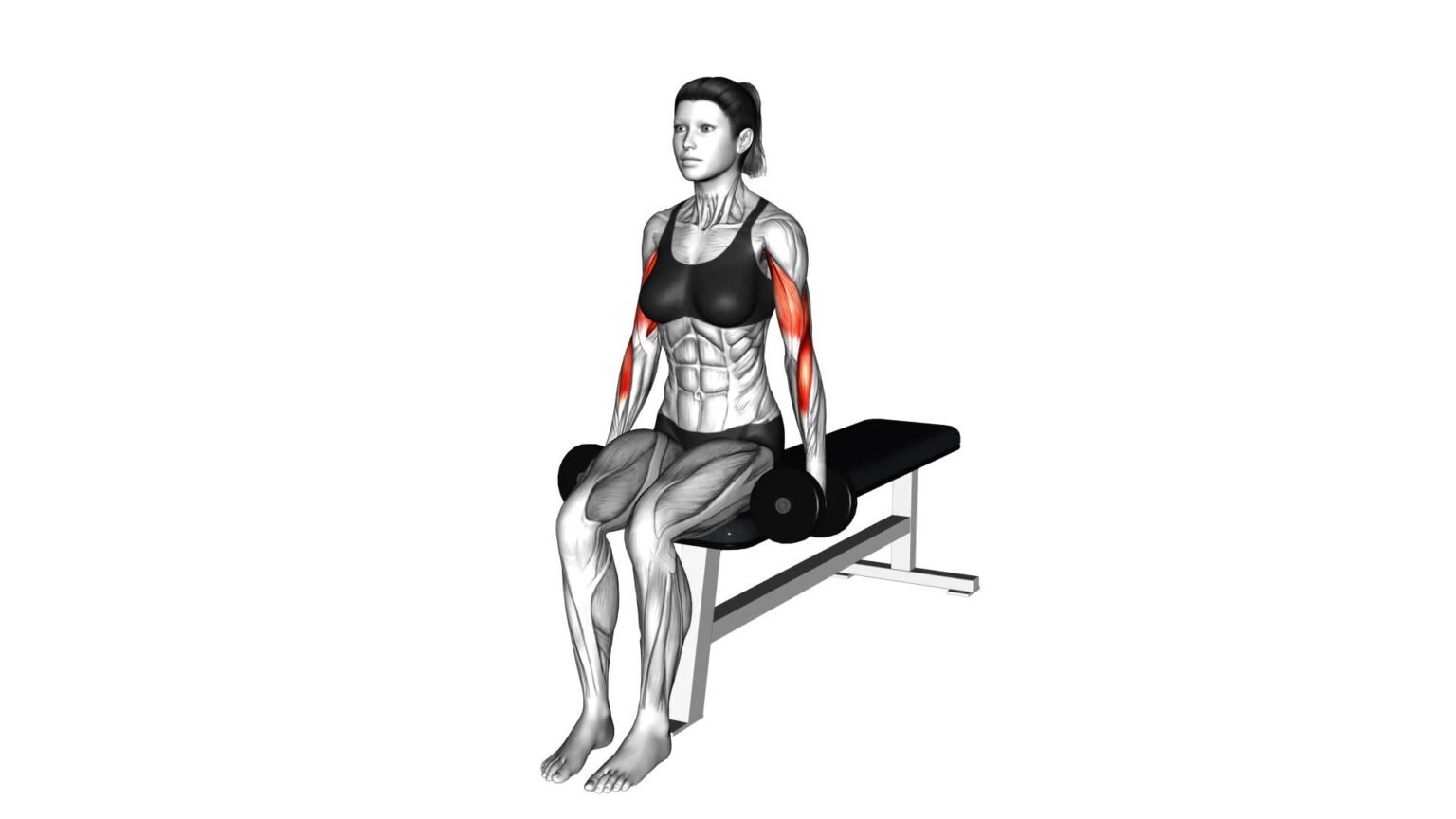 Band Standing Biceps Curl (Female): Video Guide & Tips