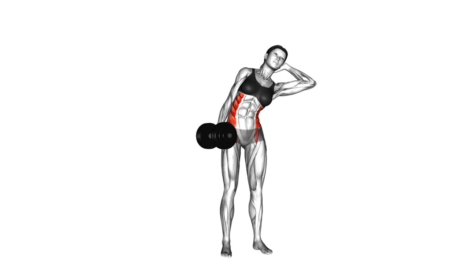 Dumbbell Side Bend: Ultimate Exercise Guide & Tips