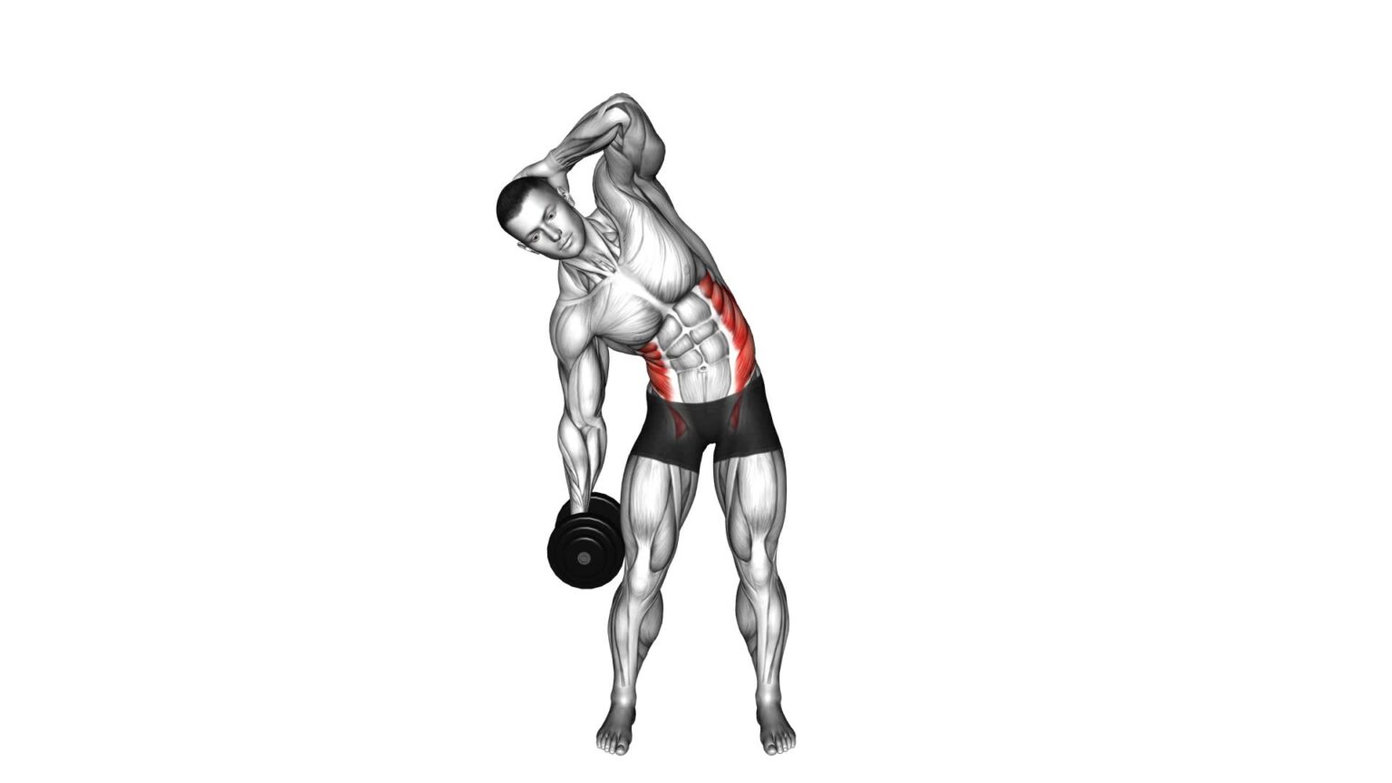 Dumbbell Side Bend: Ultimate Exercise Guide & Tips