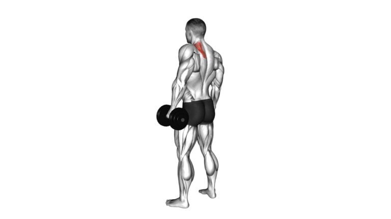 Dumbbell Single Arm Shrug - Exercise Guide & Tips