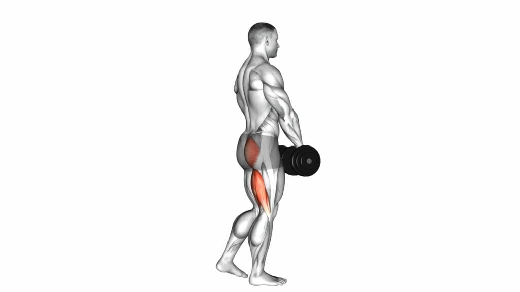 Dumbbell Single Leg Deadlift: Video Guide & Tips