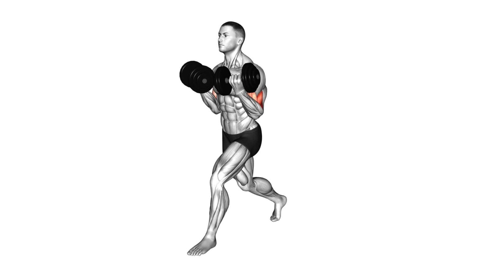 Dumbbell Split Stance Biceps Curl: Video Guide & Tips