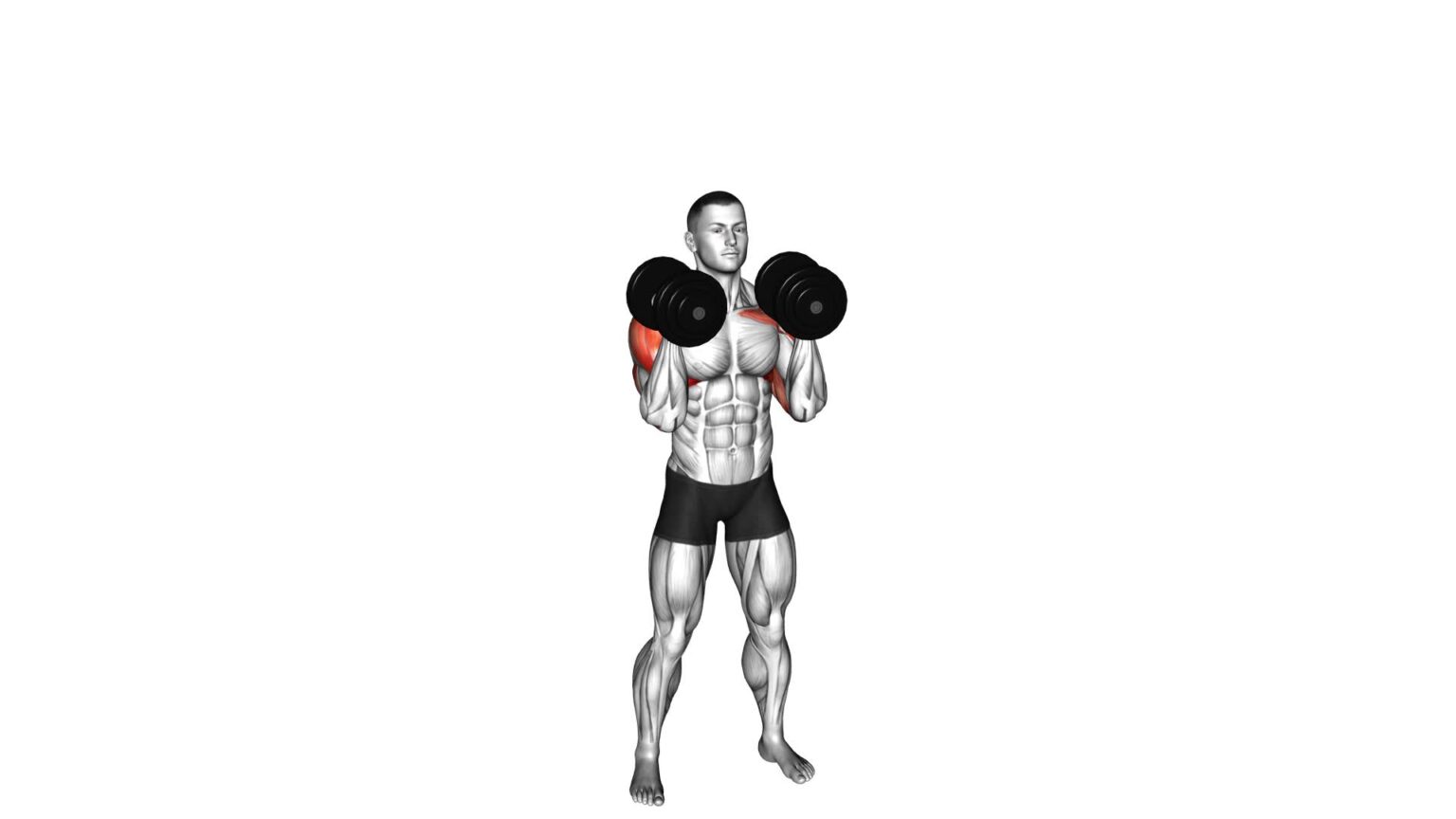 Dumbbell Standing Overhead Press: Video Guide & Tips