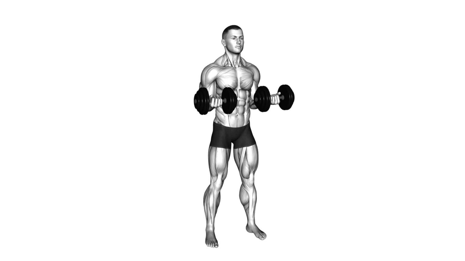 Reverse Curl Rotate: Dumbbell Standing (Male) - Video Guide & Tips
