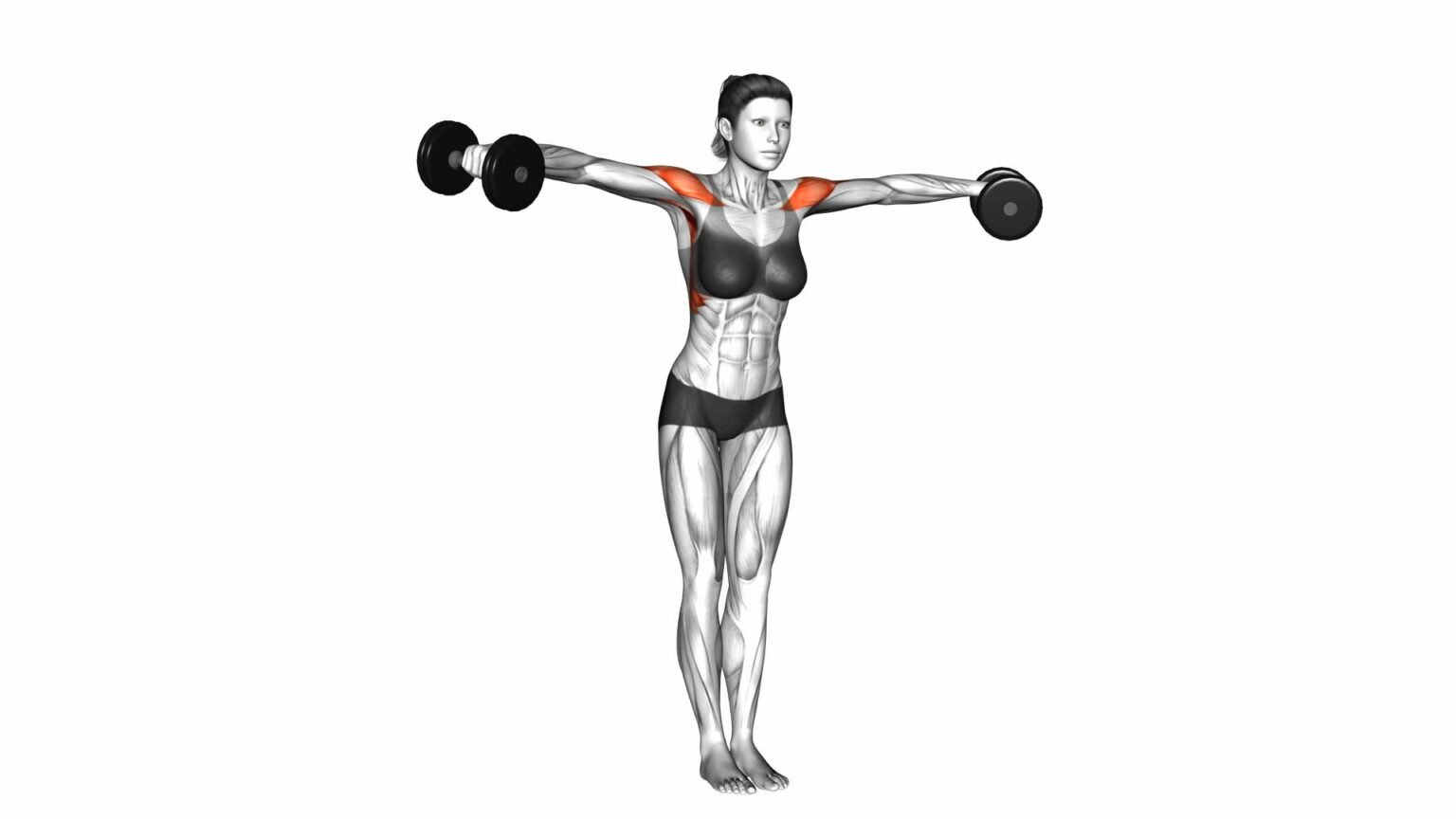 Dumbbell Bent Arm Lateral Raise (Male) - Video Guide & Tips