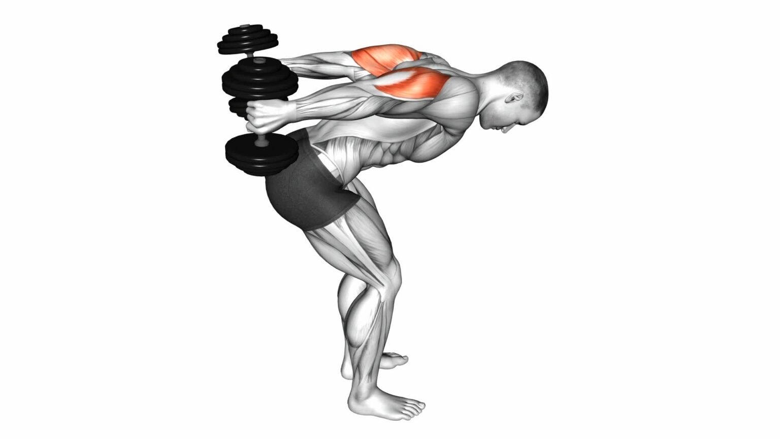 Dumbbell Kickback: Ultimate Exercise Guide & Tips [video]