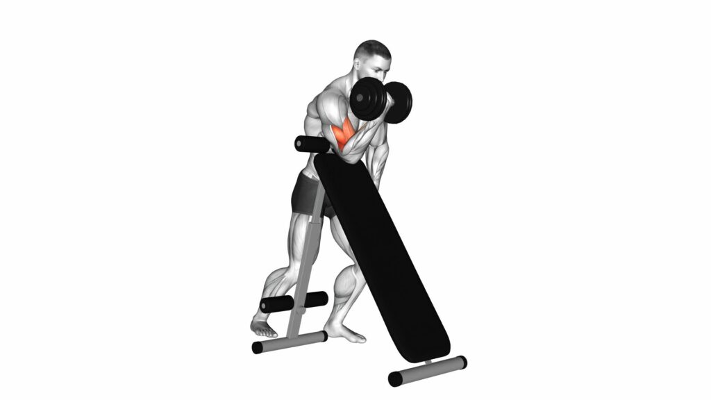 Dumbbell Standing One Arm Curl - Video Guide & Tips