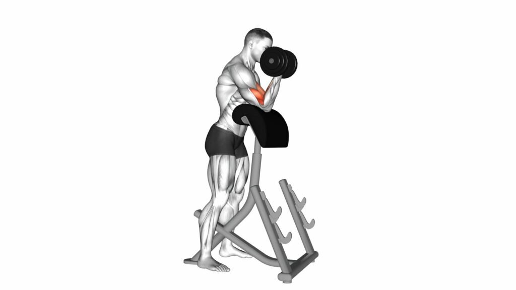 Dumbbell Preacher Curl: Video Guide & Tips