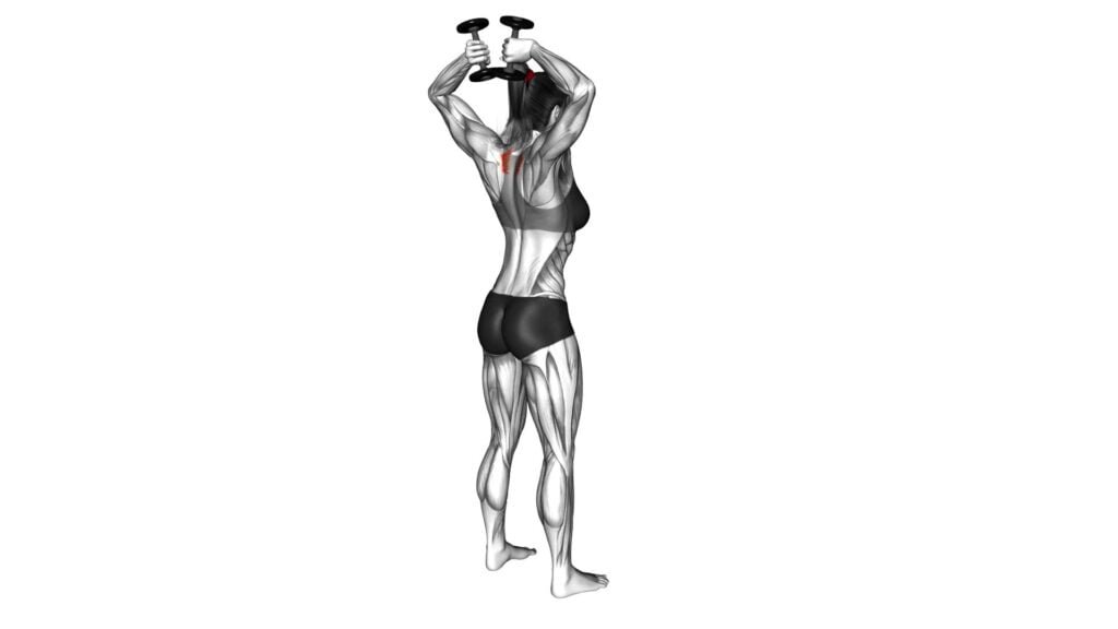 Dumbbell Standing T-spine Press For Women - Video Guide & Tips