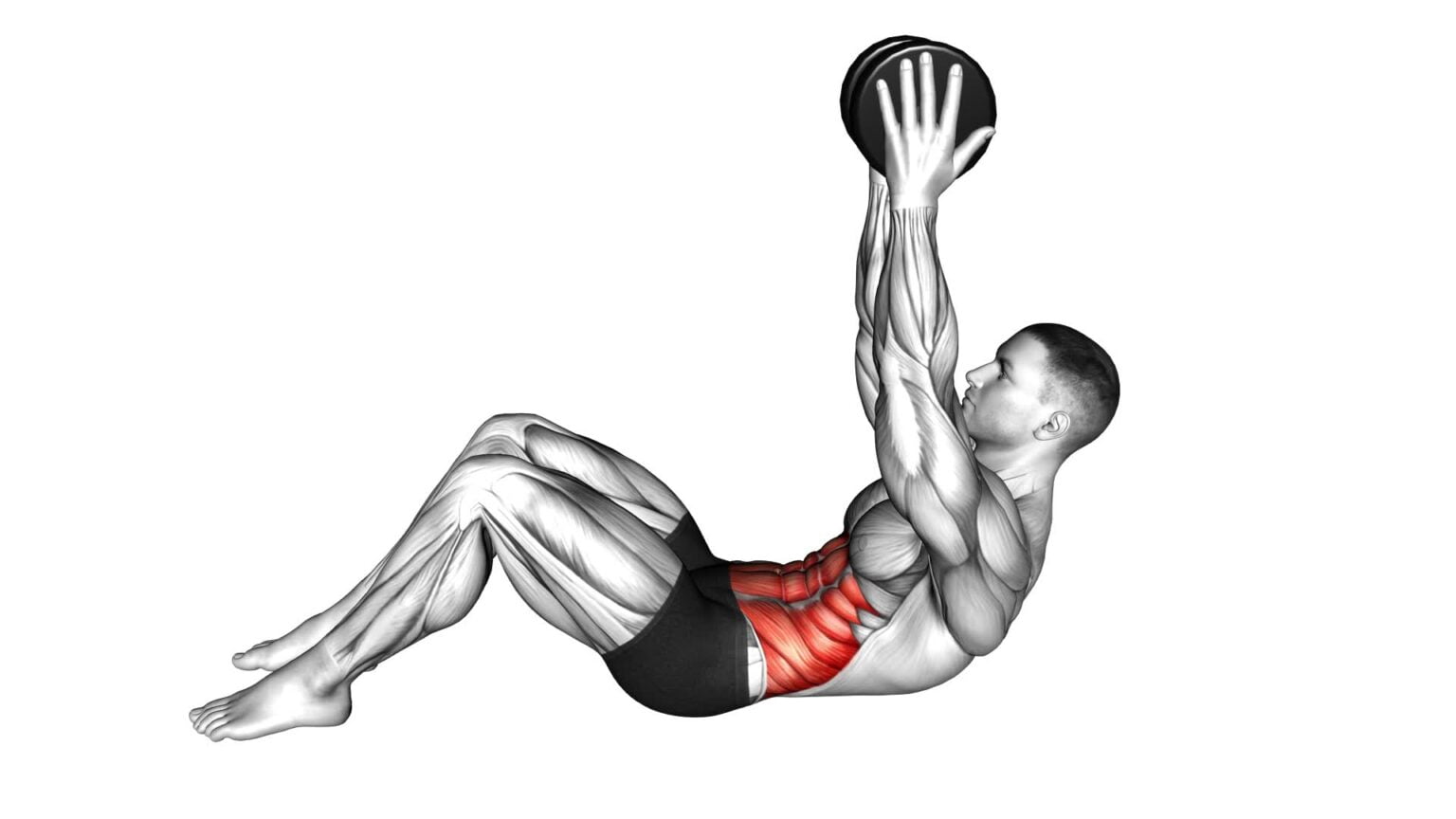 Dumbbell Straight Arm Crunch: Ultimate Guide & Tips