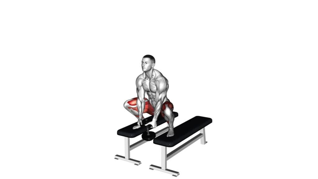 Dumbbell Sumo Squat Off Benches - Video Guide & Tips