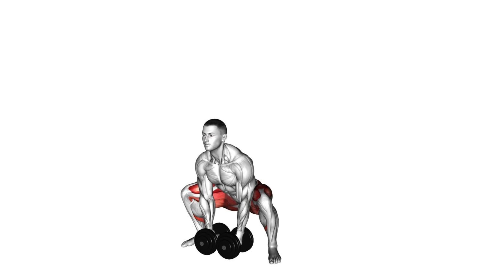 Dumbbell Wide Squat (Male) - Video Guide & Tips