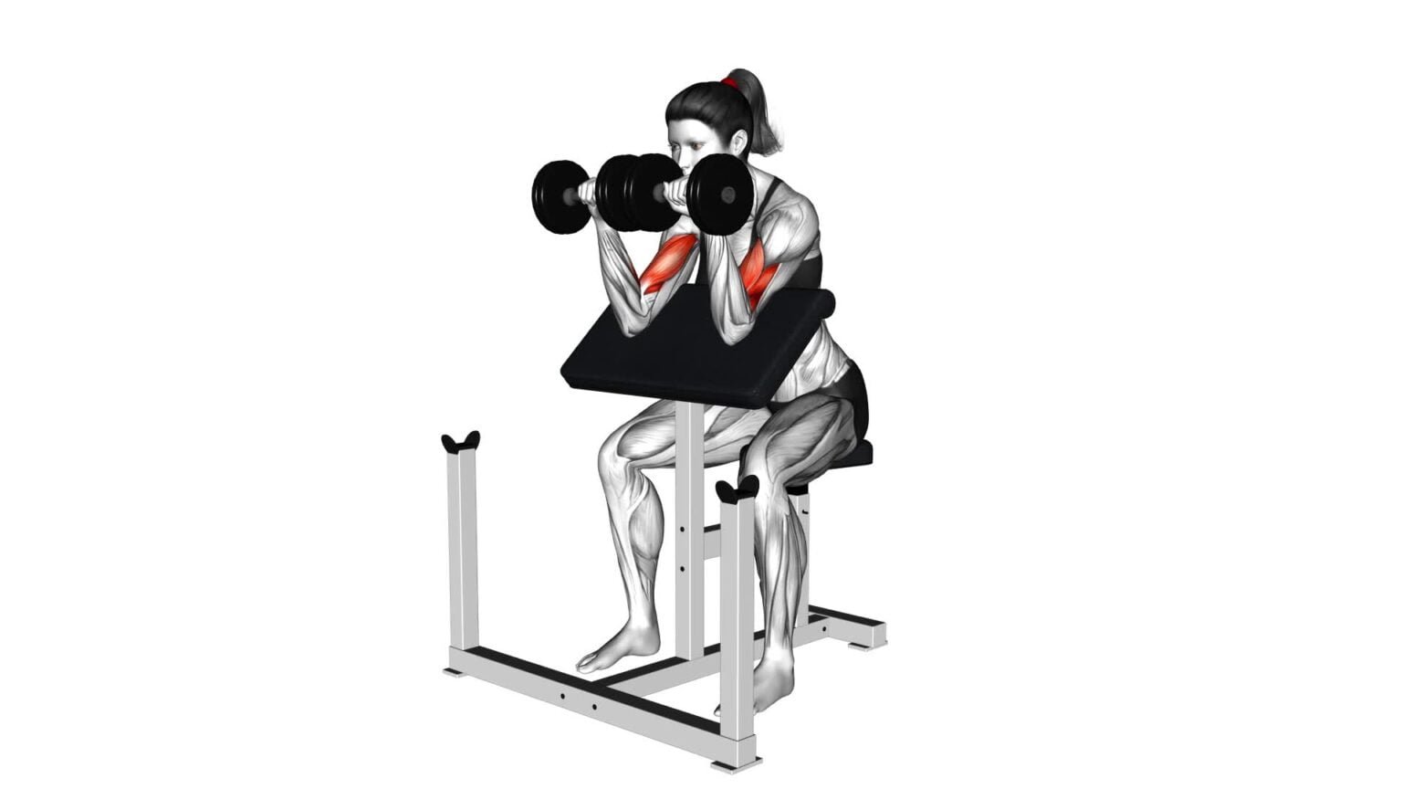 Dumbbell Zottman Preacher Curl (female) - Video Exercise Guide & Tips ...