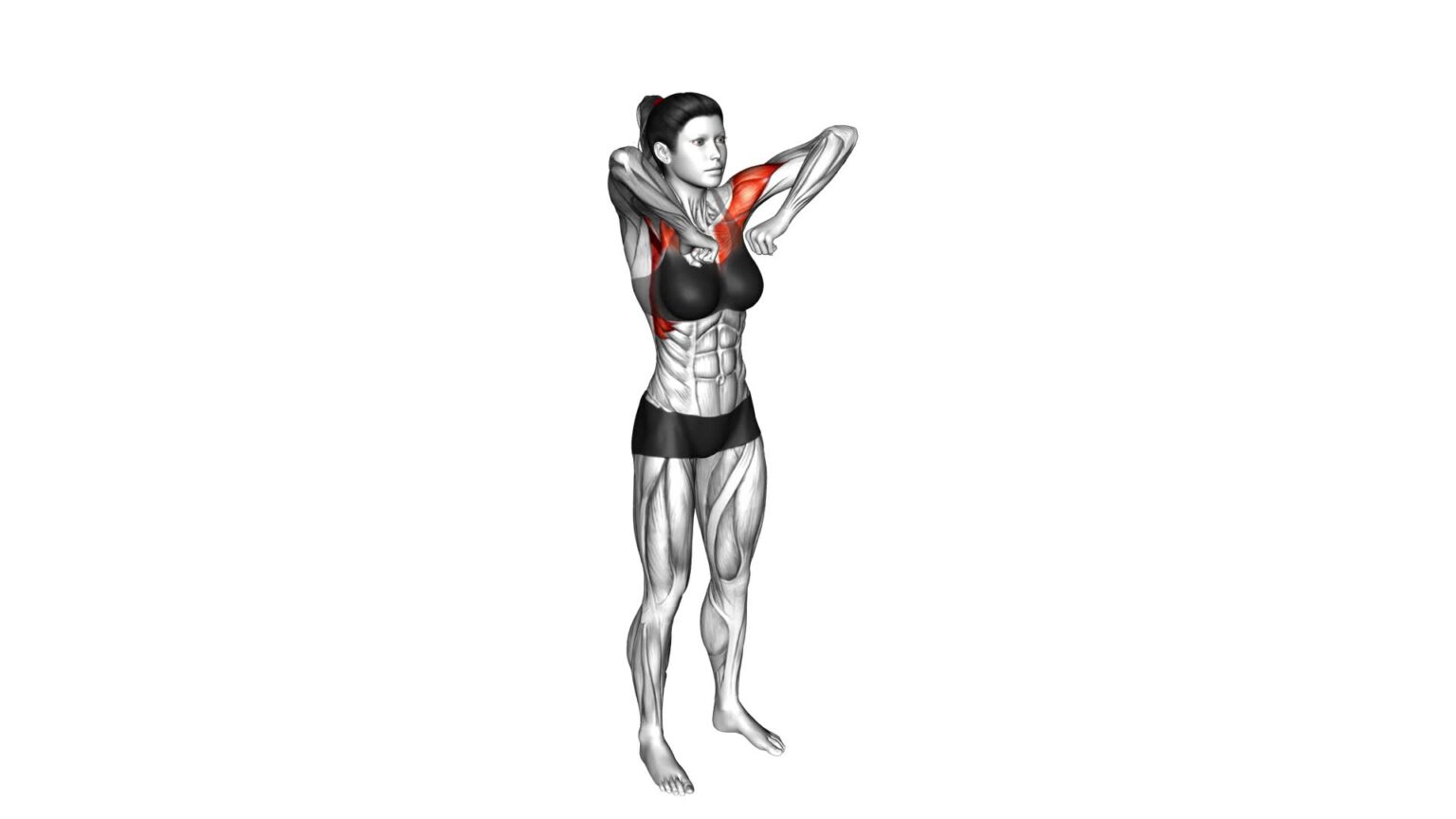 Elbow Touch And Lift: Female Video Exercise Guide & Tips