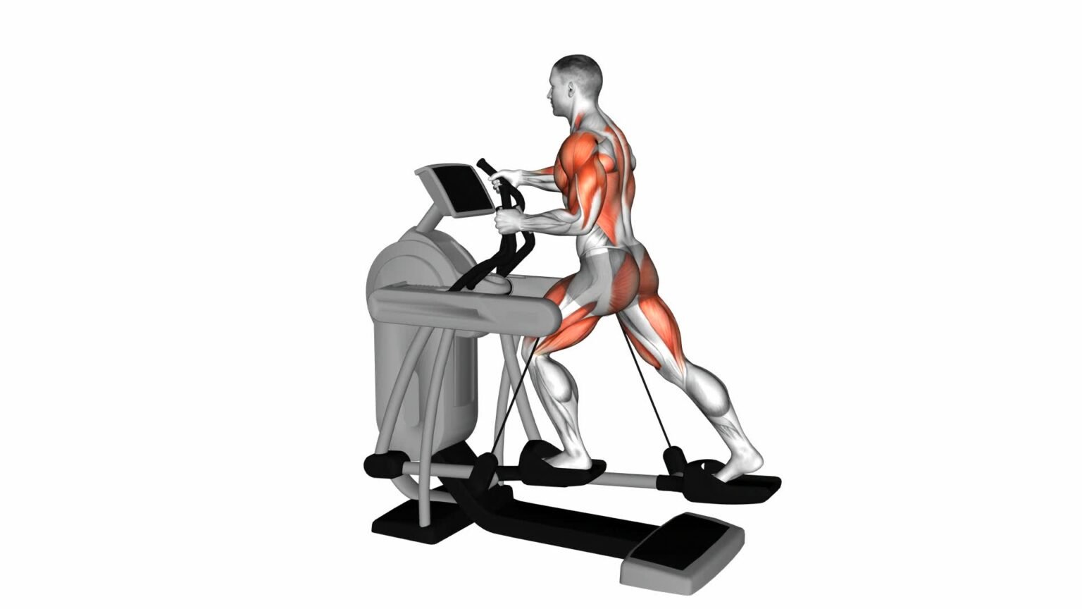 Walk Wave Machine: Ultimate Exercise Guide & Tips