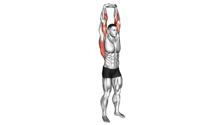 Vertical Stretch: Extension Of Arms - Video Guide & Tips