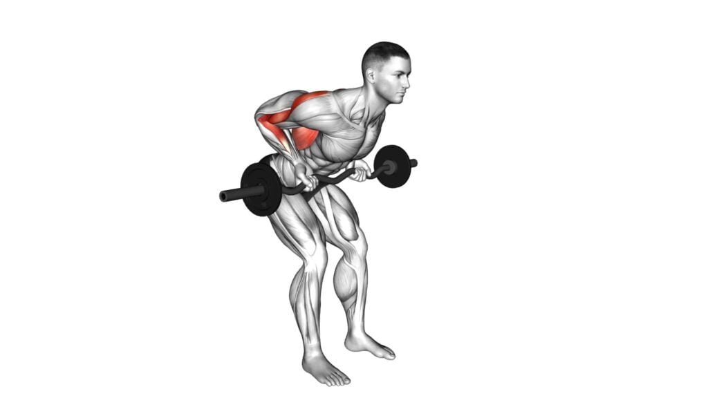 Cable Bent Over Reverse Grip Row - Exercise Guide & Tips
