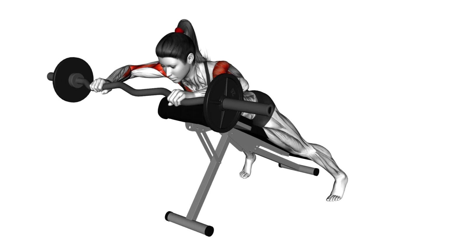 EZ Barbell Anti Gravity Press (female) - Video Guide & Tips