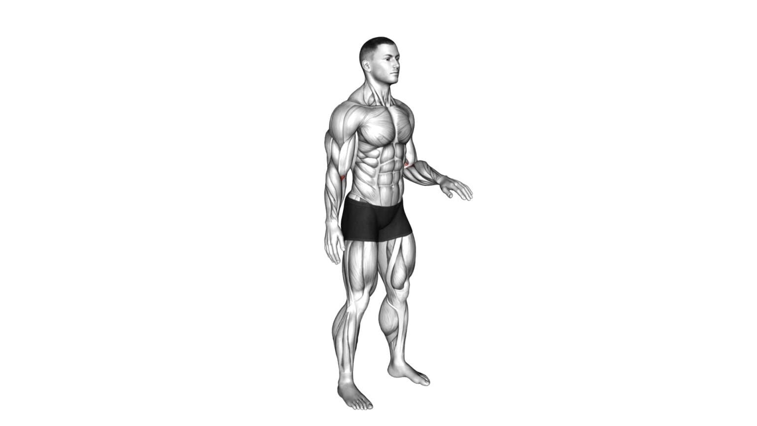 Forearm Push Forward Exercise: Video Guide & Tips (Female)