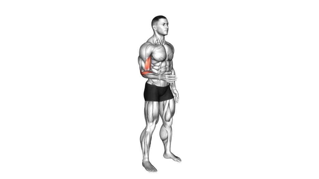 Forearm Push Forward Exercise: Video Guide & Tips (Female)