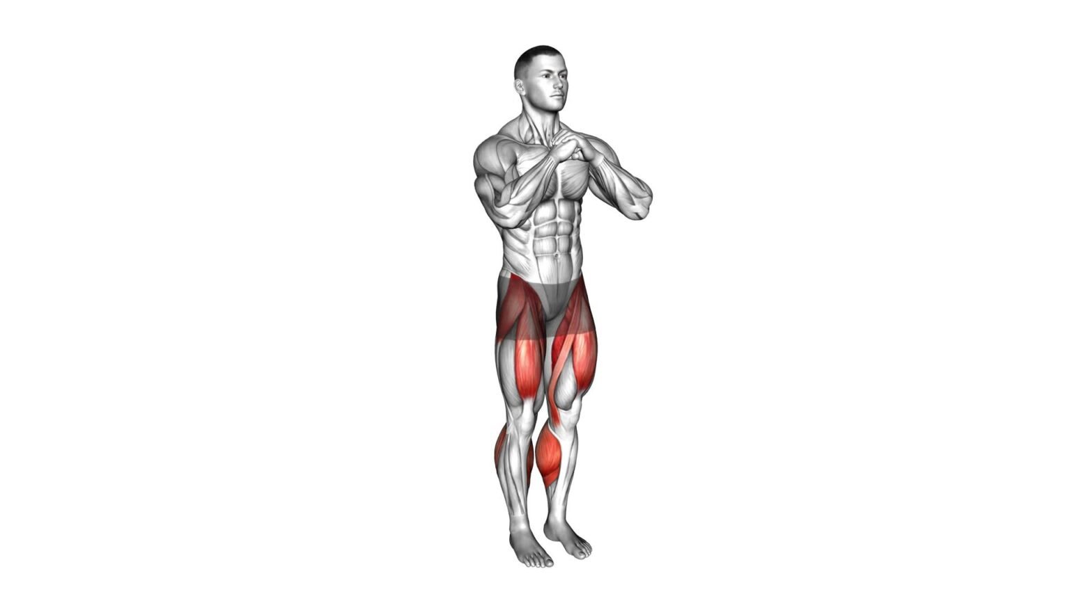 Front Leg Kick (male) - Exercise Guide & Tips